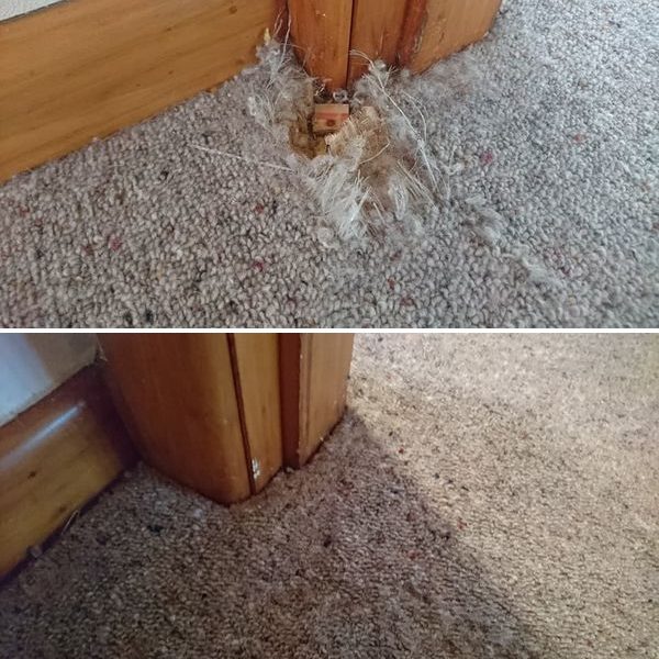 Carpet Repairs By Your Local Trusted Professional